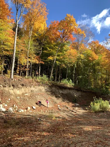 Best River Trails in Limberlost Forest and Wildlife Reserve | AllTrails