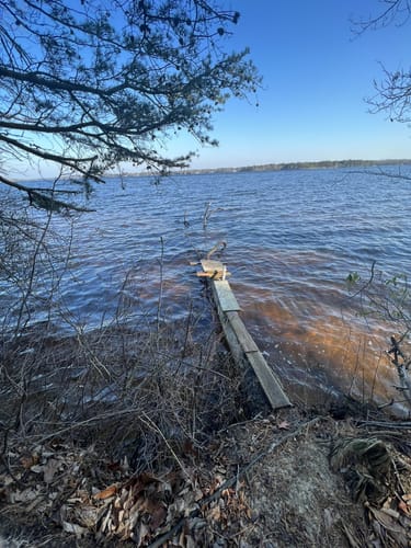 2023 Best trails in Union Lake Wildlife Management Area | AllTrails