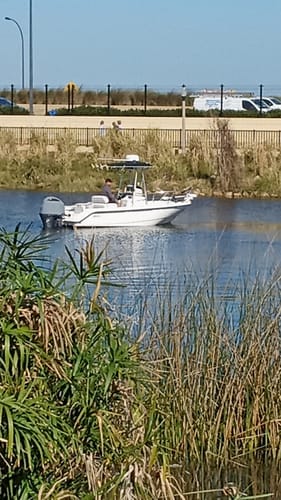 Best Hikes and Trails in Lake Underhill Park | AllTrails