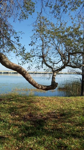 Best Hikes and Trails in Lake Underhill Park | AllTrails