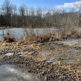 Stewart State Forest Foot Trail, New York - 432 Reviews, Map | AllTrails