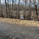 Stewart State Forest Foot Trail, New York - 432 Reviews, Map | AllTrails