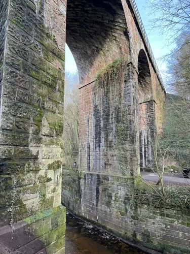 Best Hikes and Trails in Gelt Woods | AllTrails