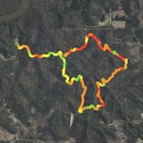 Torreya Challenge, Florida - 234 Reviews, Map | AllTrails