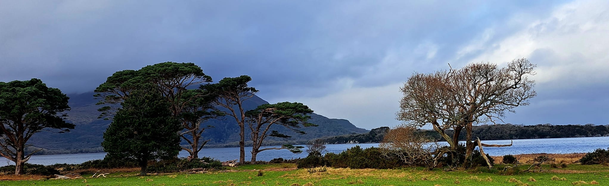 Muckross House - Torc Waterfall: 325 Reviews, Map - County Kerry ...