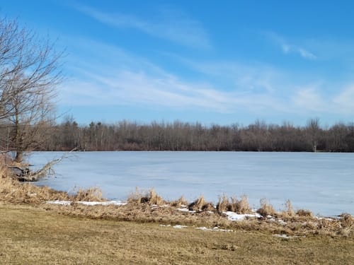 Best Hikes and Trails in Creasey Bicentennial Park | AllTrails