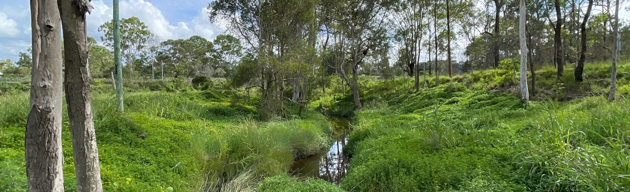 Darra Station to Centenary Highway Bikeway, Queensland, Australia - 9 ...