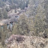 Fat Rabbit Loop Trail, Oregon - 374 Reviews, Map | AllTrails