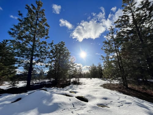 Best Hikes and Trails in Hauser Conservation Area | AllTrails