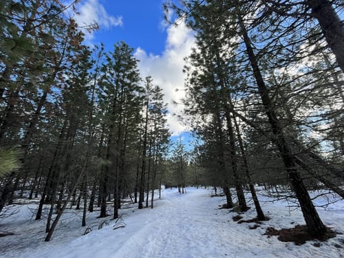 Best Hikes and Trails in Hauser Conservation Area | AllTrails