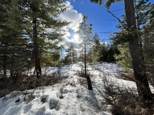 Best Hikes and Trails in Hauser Conservation Area | AllTrails