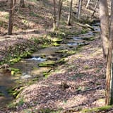 Panther Run Trail, Pennsylvania - 78 Reviews, Map | AllTrails