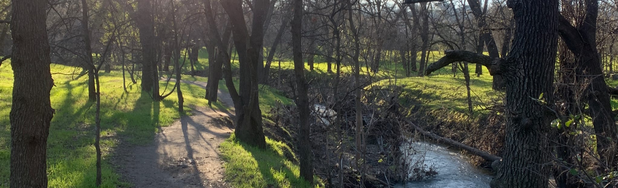 Johnson Springview Outer Loop | Map, Guide - California | AllTrails