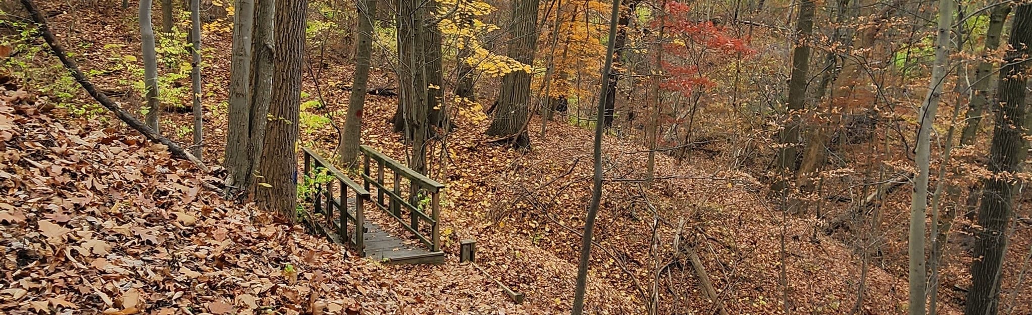Green Tree Nature Center Trail, Pennsylvania - 44 Reviews, Map | AllTrails
