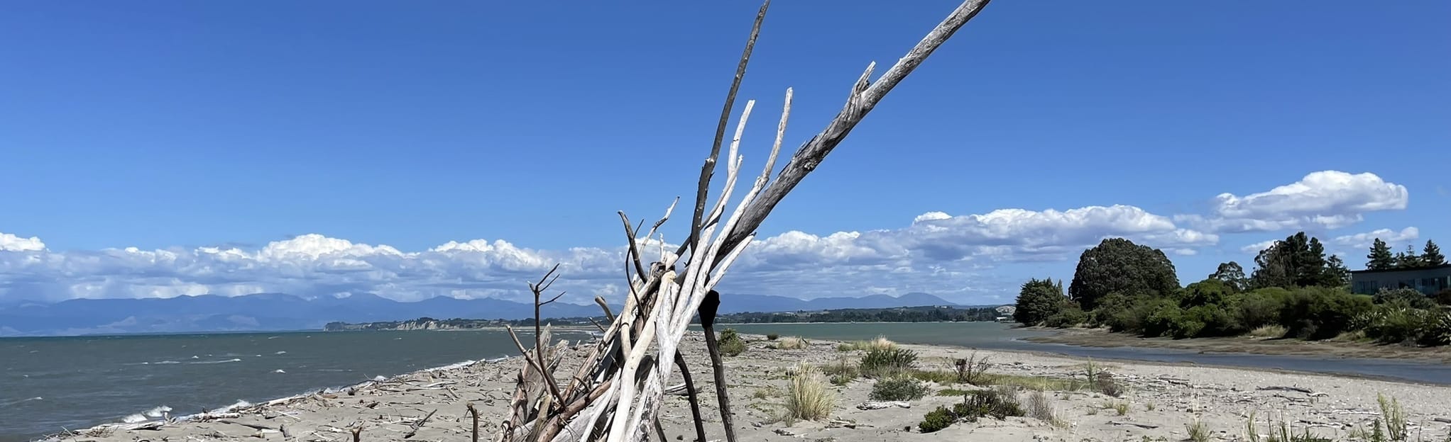 Motueka Sandspit Walk: 7 Reviews, Map - Nelson-Tasman, New Zealand ...