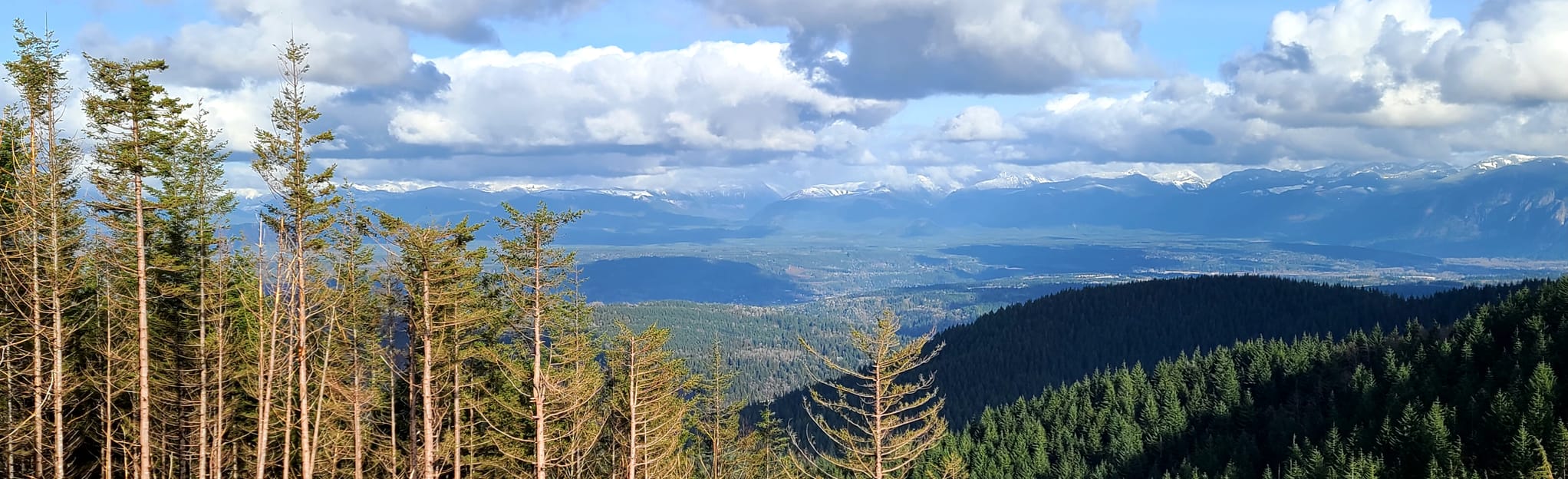 Three Summits Loop Trail: 443 Reviews, Map - Washington | AllTrails