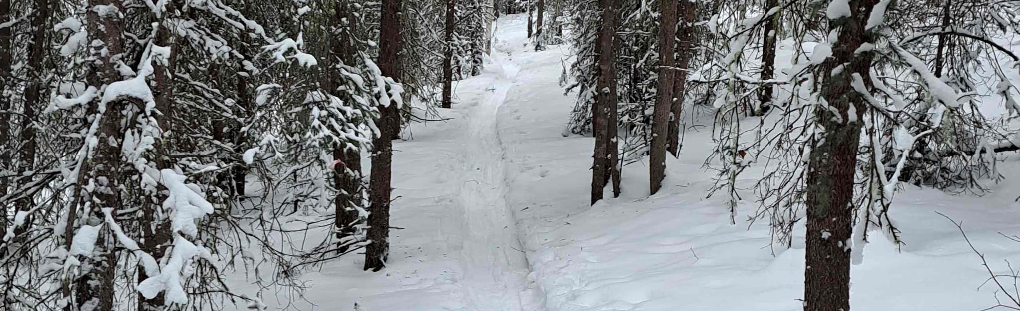 O’Connor Ridge Red Berry Loop: 2 Reviews, Map - Alaska | AllTrails