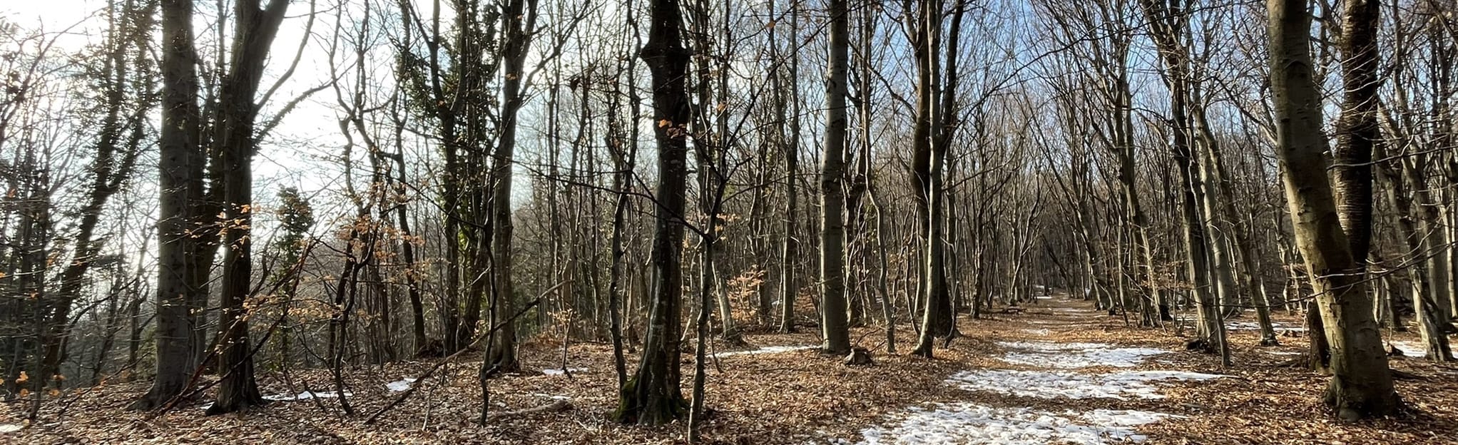 Gajnice - Ponikve - Kameni Svati: 0 Reviews, Map - Zagreb, Croatia ...