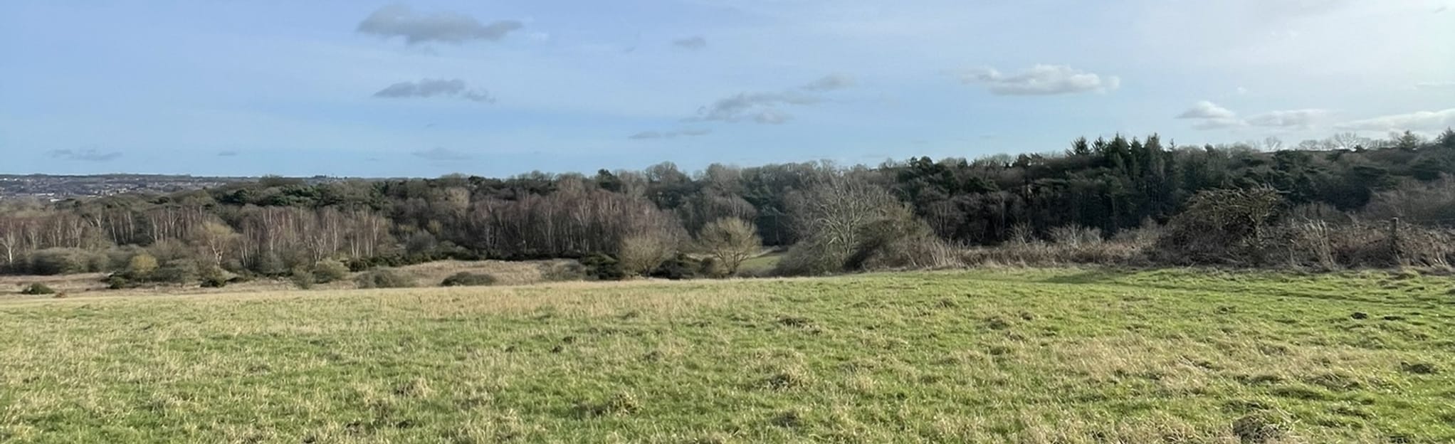 Lamesley Nature Walk, Tyne and Wear, England - 23 Reviews, Map | AllTrails