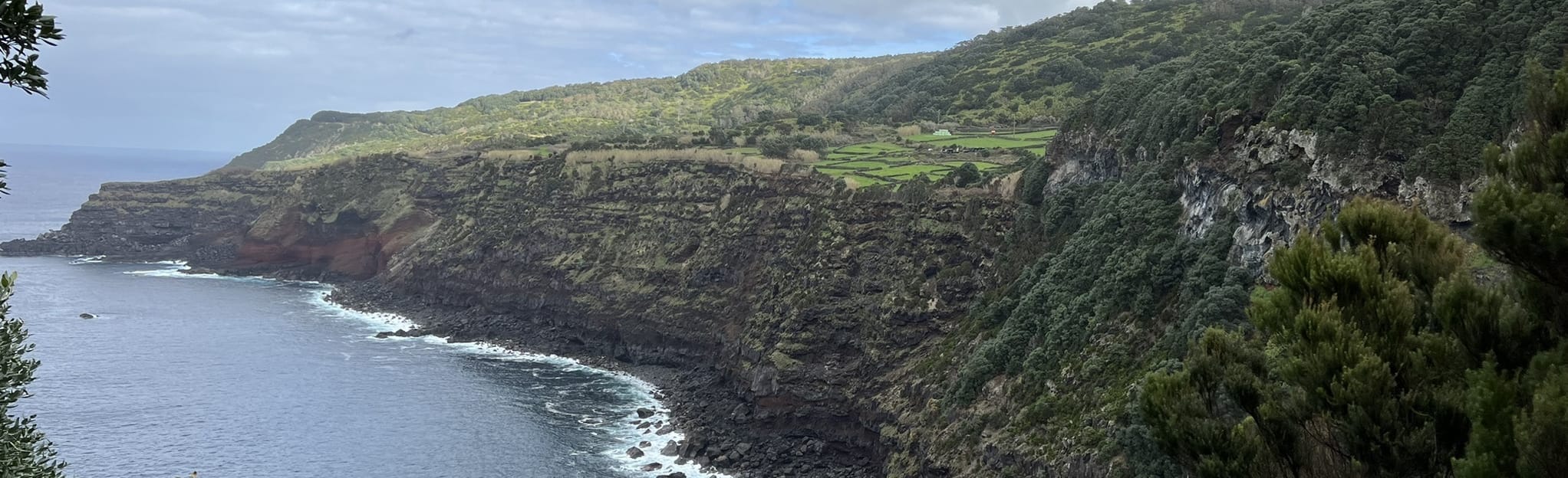 Grande Rota do Oeste: Pico Negrão - Mata da Serreta : 39 Photos ...