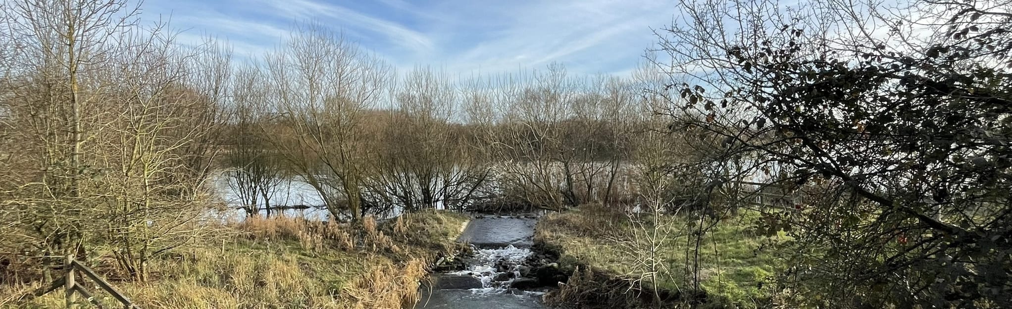 Summer Leys Nature Reserve, 17 Fotos - Northamptonshire, Inglaterra ...