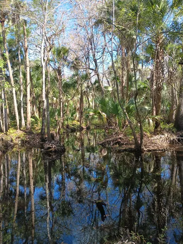 Best Hikes and Trails in Triple N Ranch Wildlife Management Area ...