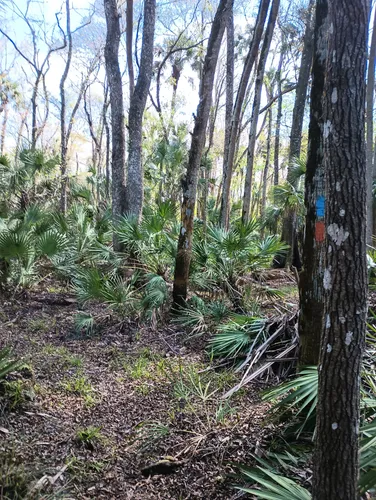 Best Hikes and Trails in Triple N Ranch Wildlife Management Area ...