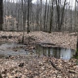 Patton Cave via Hayes and Patton Cave Trail, Indiana - 290 Reviews, Map ...