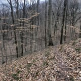 Patton Cave via Hayes and Patton Cave Trail, Indiana - 290 Reviews, Map ...