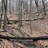 Patton Cave via Hayes and Patton Cave Trail, Indiana - 290 Reviews, Map ...