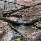 Patton Cave via Hayes and Patton Cave Trail, Indiana - 290 Reviews, Map ...