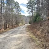 Cedar Ridge Trail Loop, North Carolina - 660 Reviews, Map | AllTrails