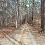 Cedar Ridge Trail Loop, North Carolina - 660 Reviews, Map | AllTrails