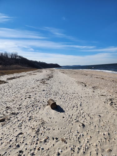 Best Hikes and Trails in Hallock State Park Preserve | AllTrails