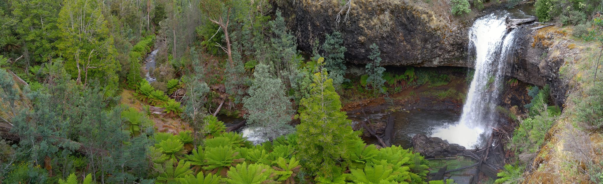 Wilsons Falls: 26 Reviews, Map - Tasmania, Australia | AllTrails