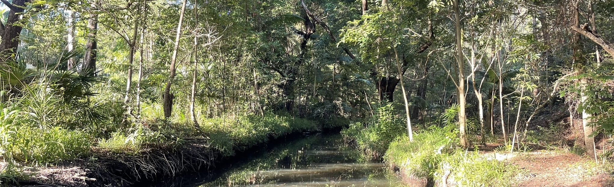 Mount Coot-tha Reserve Loop, Queensland, Australia - 23 Reviews, Map ...