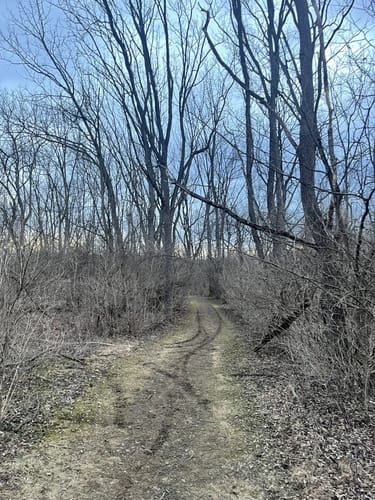 Best Hikes and Trails in George Lorimer Preserve | AllTrails