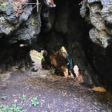Myrtle Tree Trail, Oregon - 52 Reviews, Map | AllTrails