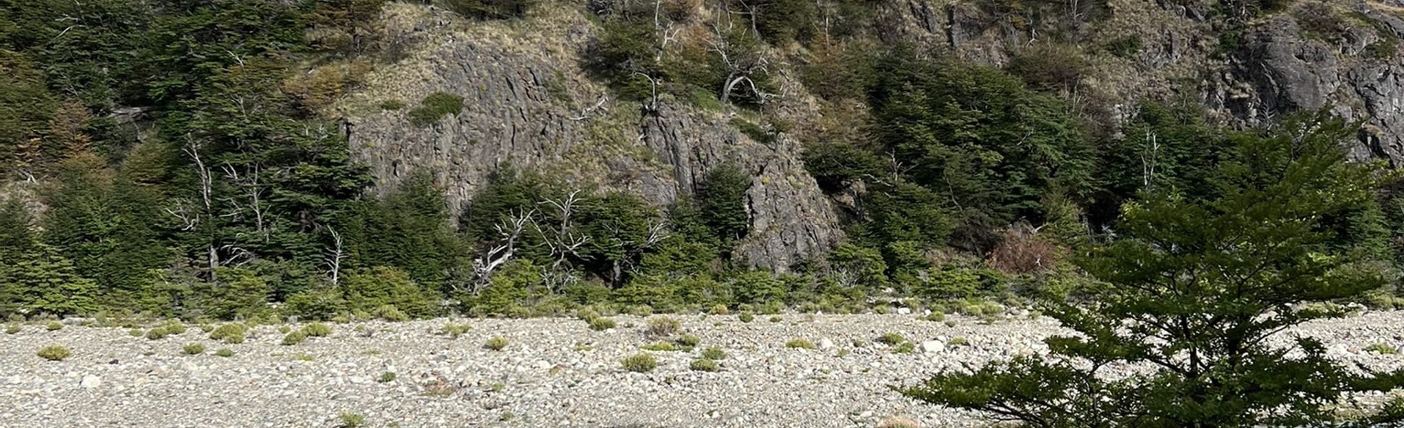 El Pilar Entrance: 3 Reviews, Map - Santa Cruz, Argentina | AllTrails