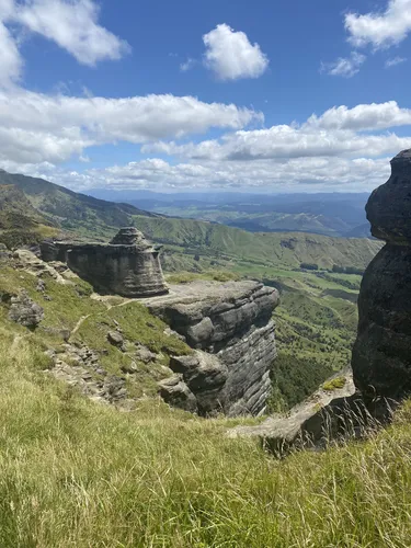 2023 Best Wild Flowers Trails in Raupunga | AllTrails