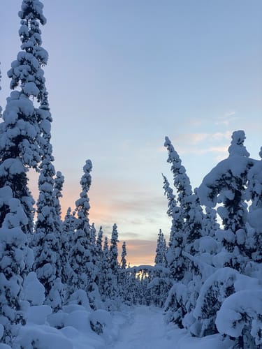 Best Hikes and Trails in Isberg Recreation Area | AllTrails