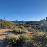 Bartlett Reservoir Trail , Arizona - 219 Reviews, Map | AllTrails