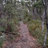 Mount Direction Track, Tasmania, Australia - 122 Reviews, Map | AllTrails