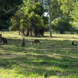Cardinia Aqueduct Trail, Victoria, Australia - 261 Reviews, Map | AllTrails
