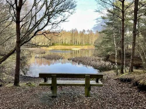 Best Hikes and Trails in Culbin Forest | AllTrails