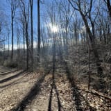 Cheslen Preserve via Embreeville Road, Pennsylvania - 540 Reviews, Map ...