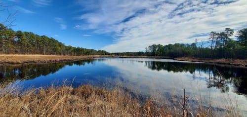Best Hikes and Trails in Jumping Brook Preserve | AllTrails