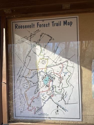 Best Hikes and Trails in Roosevelt Forest | AllTrails