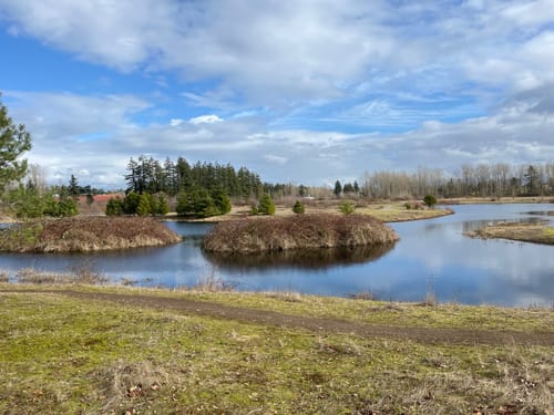 2023 Best Views Trails in Aldergrove Regional Park | AllTrails