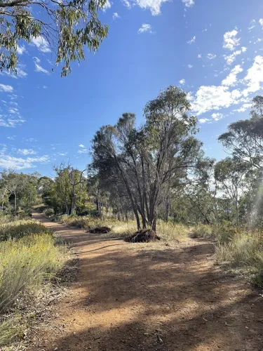 10 Best Hikes and Trails in Mount Ainslie Nature Reserve | AllTrails